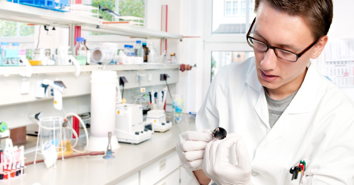 Mechanotherapy Promotes Regeneration of Fibrotic Tissues, Study Shows ...